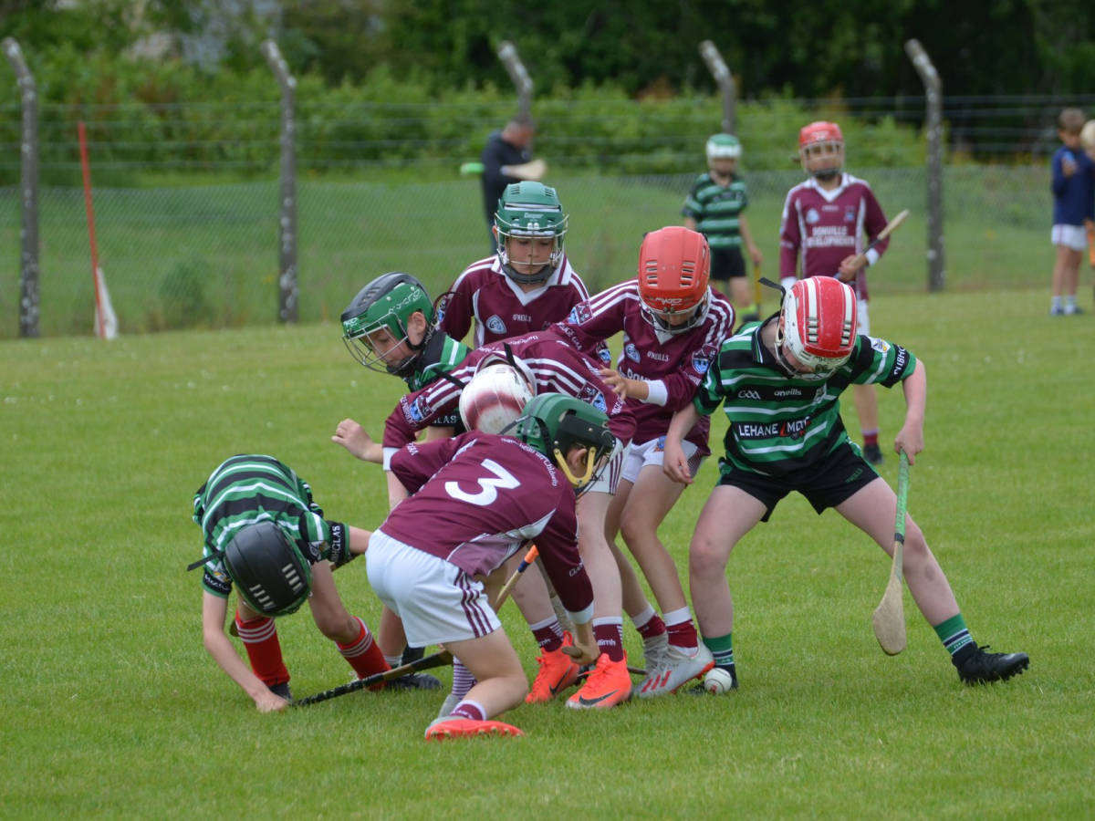 How to bulk verify Clubforce GAA members to Foireann - Clubforce